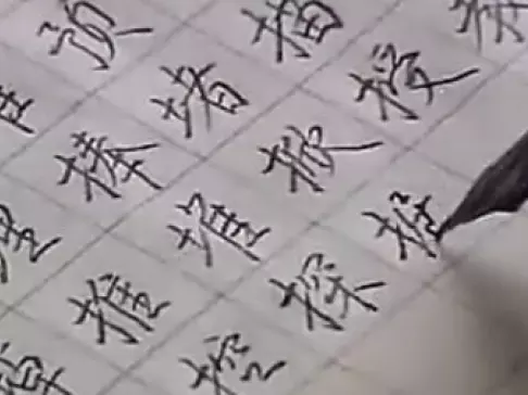 王正良钢笔行书教学2