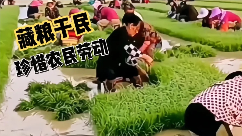 农民种地很辛苦,我们吃着他们种出的粮食,应十分珍惜尊重他们