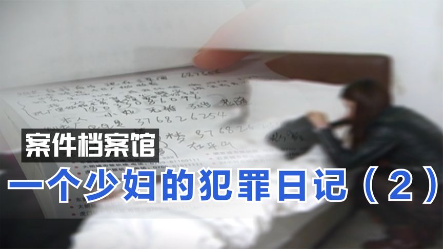 案件档案馆:一个少妇的犯罪日记(2)