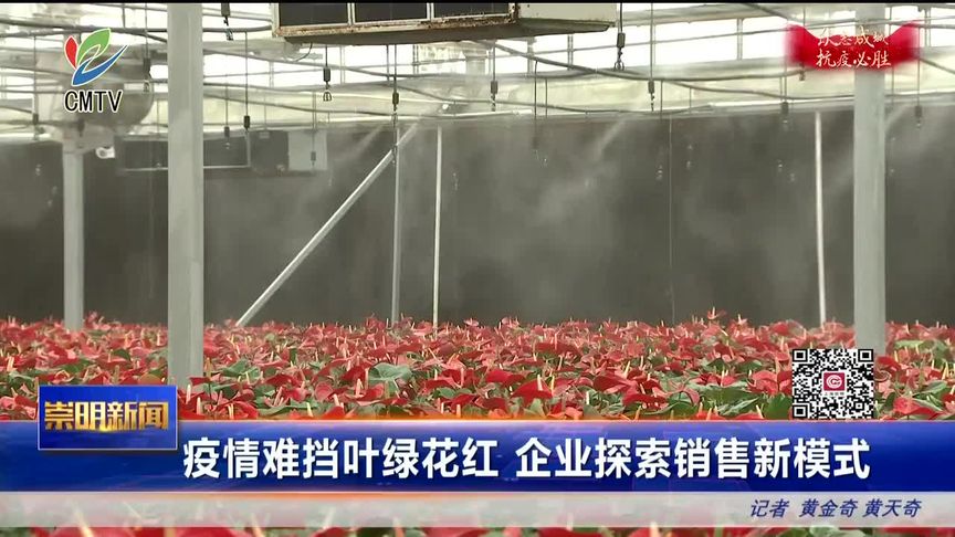 疫情难挡叶绿花红 企业探索销售新模式