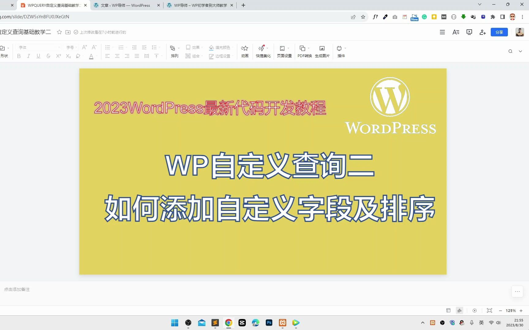 Wordpress2023代码教程自定义查询教学二-如何添加自定义字段及...