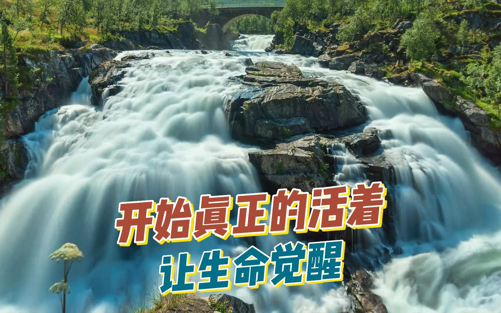 开始真正的活着,让生命觉醒