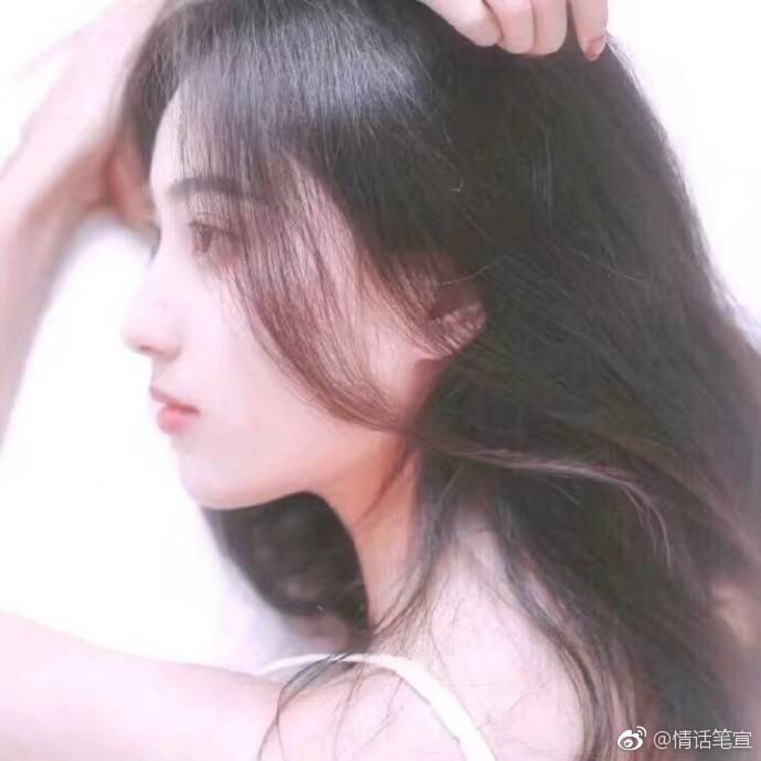 秋画锦 