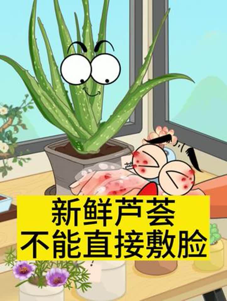 新鲜芦荟不能直接敷脸#新农人计划 #生活小常识 #生活百科 #乡村守护.