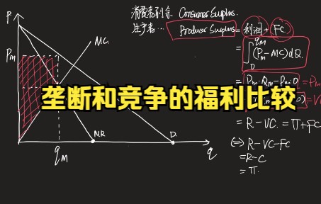 垄断和竞争的福利比较 | 产业组织专题