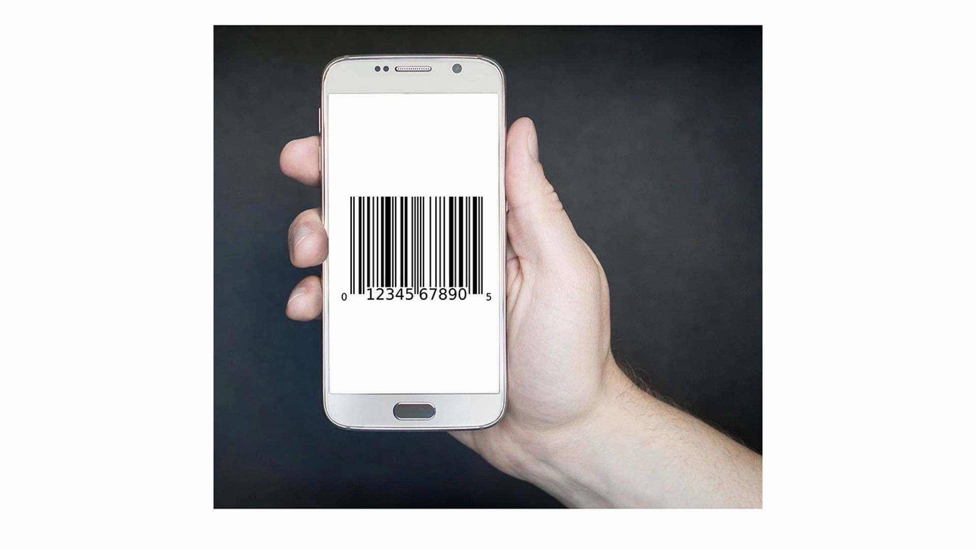 如何申请条形码