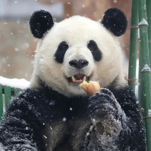 不如名为大梦三千 