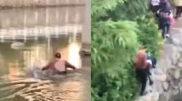 老当益壮!72岁老人0度天跳河救落水女子:我会游泳,不怕!