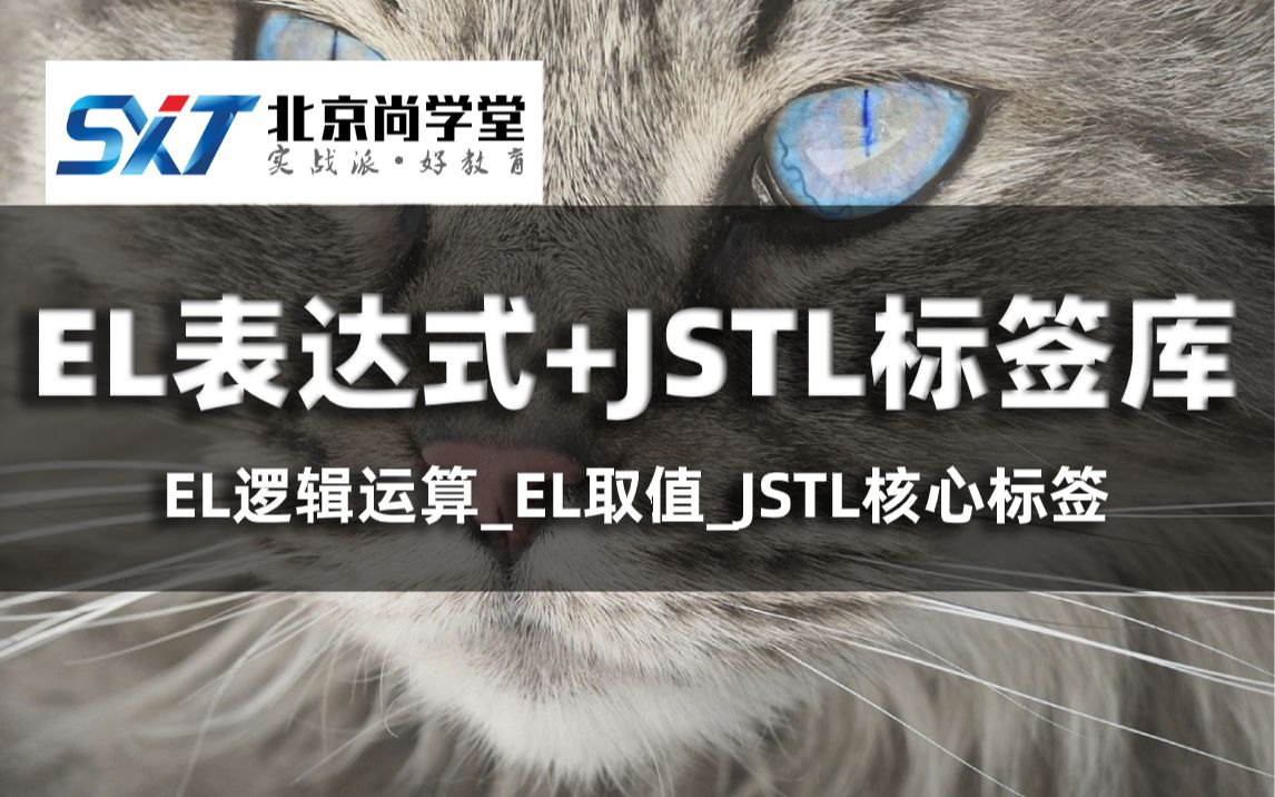 2021年最新—JSP标准标签库JSTL教程_Java Web视频教程(EL表达式...