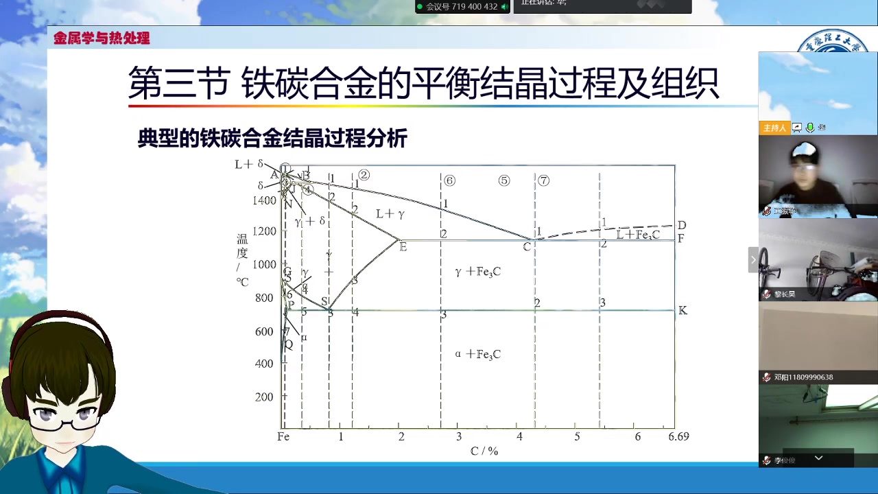 铁碳合金相图:平衡结晶过程