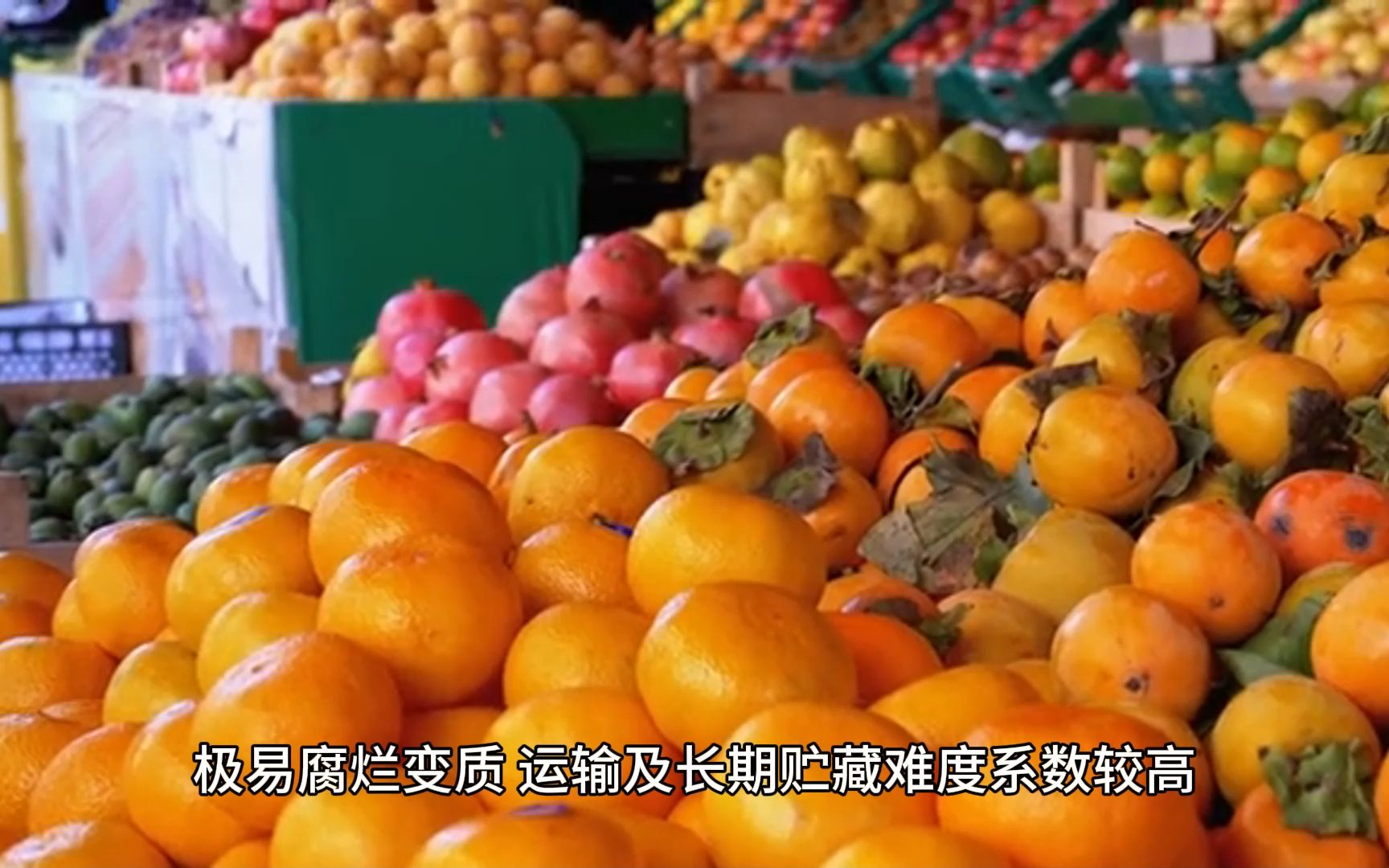 冷冻干燥在植物系食品方面有什么应用