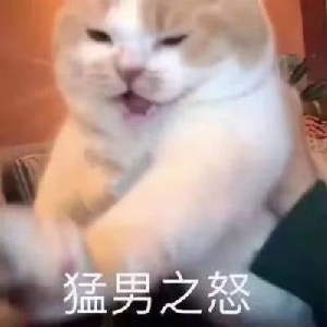 爱学习的郑叔叔 