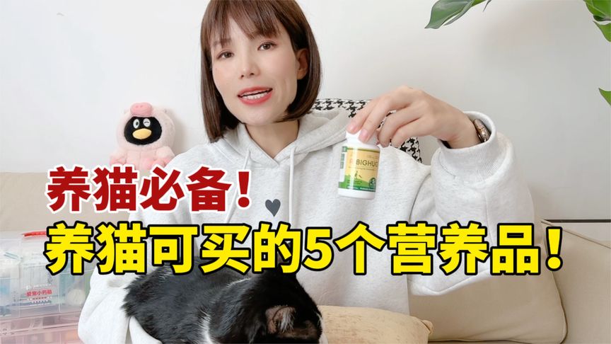 养猫如果非要买营养品,这5个可以买!