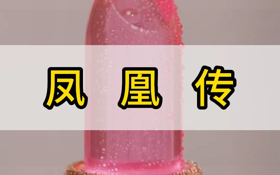 《凤凰传》