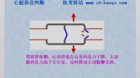 执考驿站循环系统疾病-心脏收缩期和舒张期杂音判断