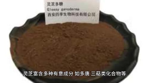1870.灵芝的好处