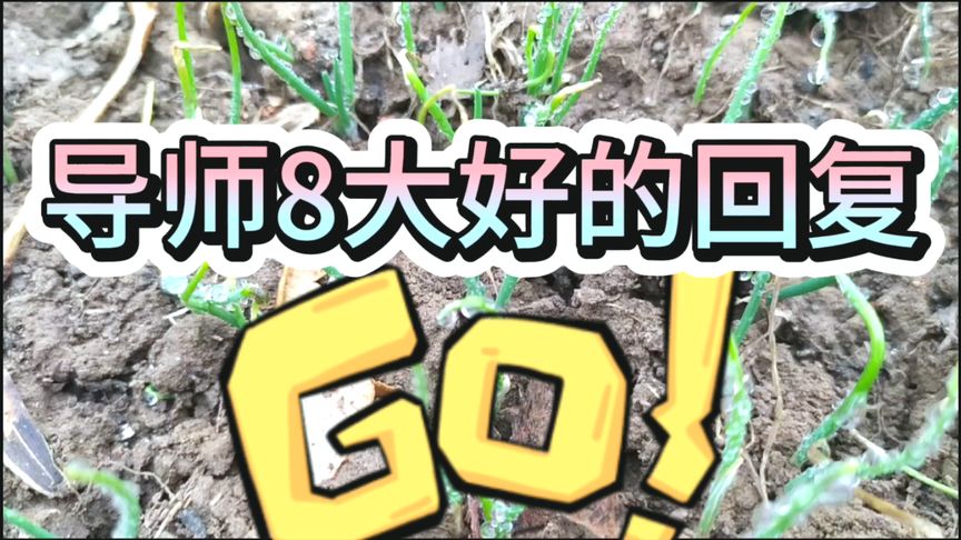 导师邮件回复不知其含义?这8种回复都表积极,知道后受益匪浅
