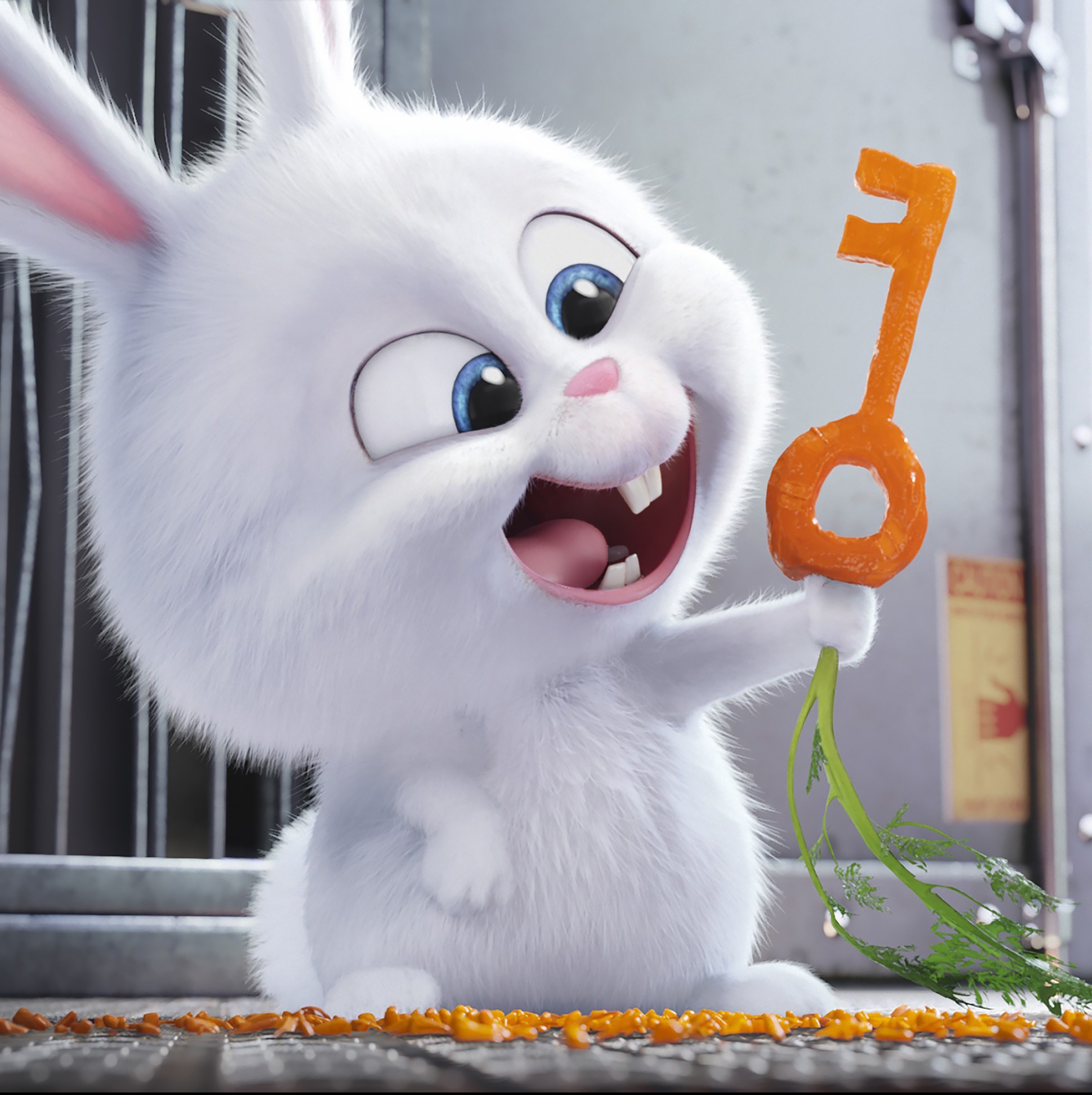 想躺平的小兔子 