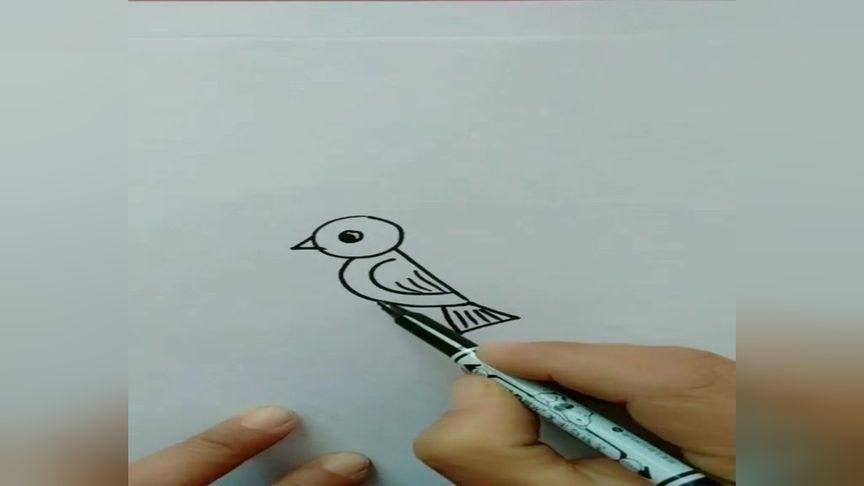 简单画小动物,一起画吧