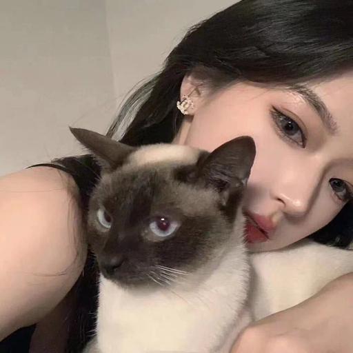 Niko爱吃汉堡 