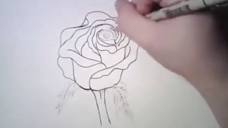 教你简单的画玫瑰?