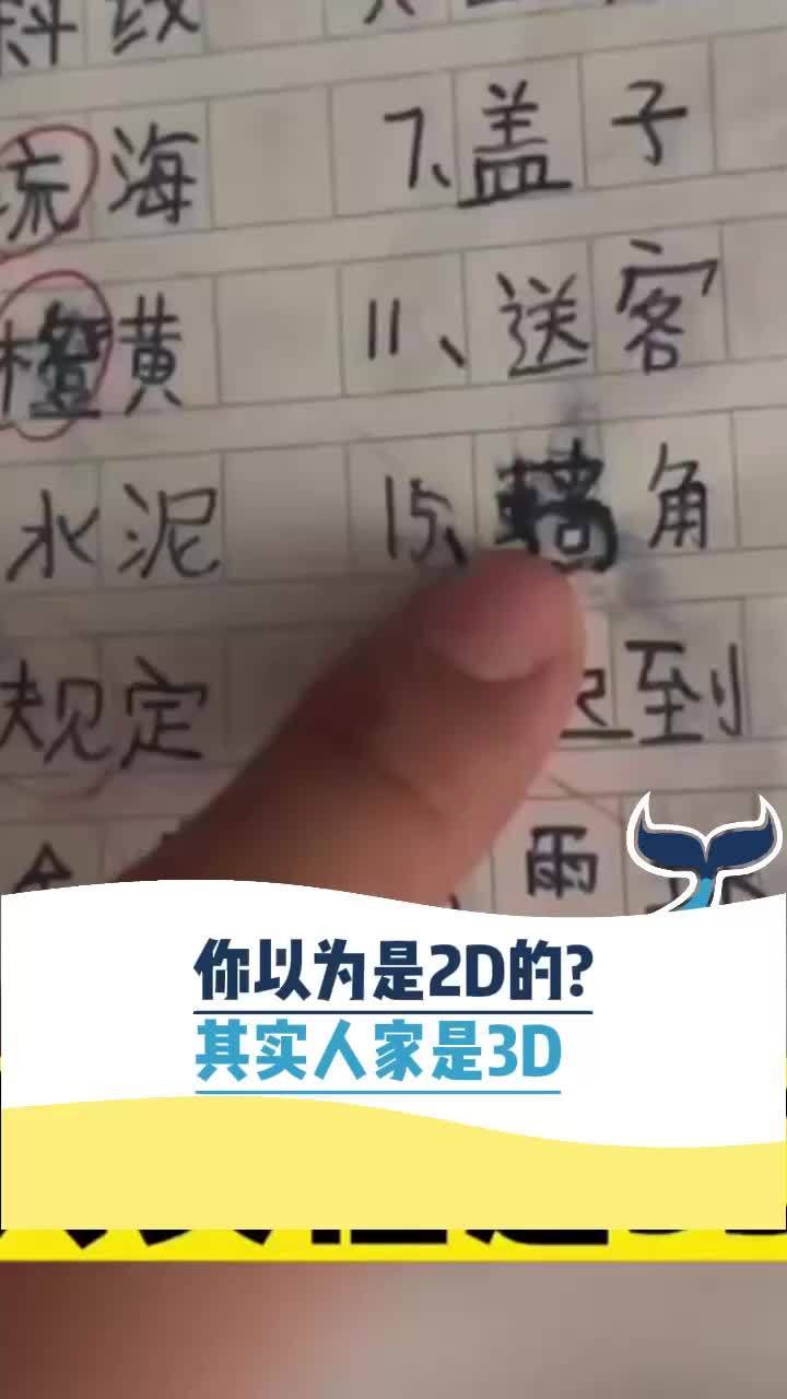 你以为是2D的?其实人家是3D