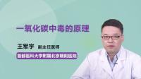 一氧化碳中毒的原理