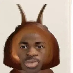 一只大大大窝瓜 