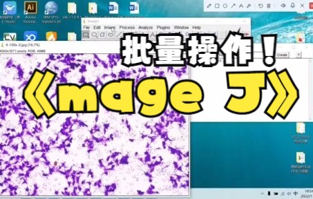 Image J 细胞计数 批量操作 transwell 超级简单手残党一看就会!.mp4