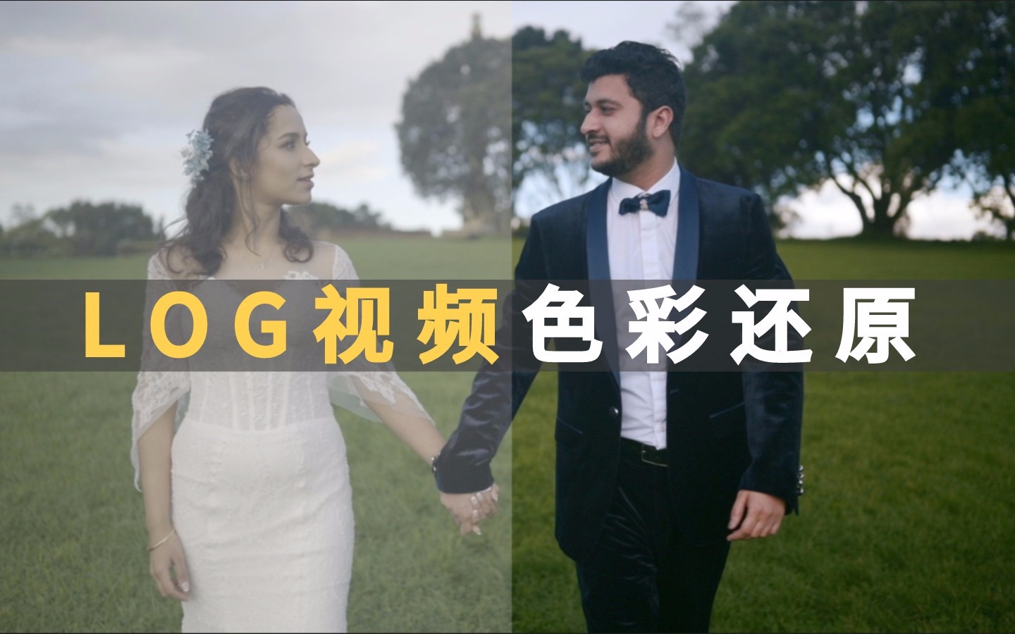 如何不使用lut,快速为log视频进行调色?尼康n-log色彩还原分享