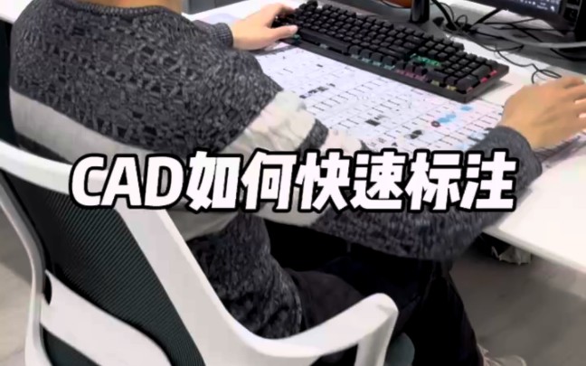 CAD快速标注