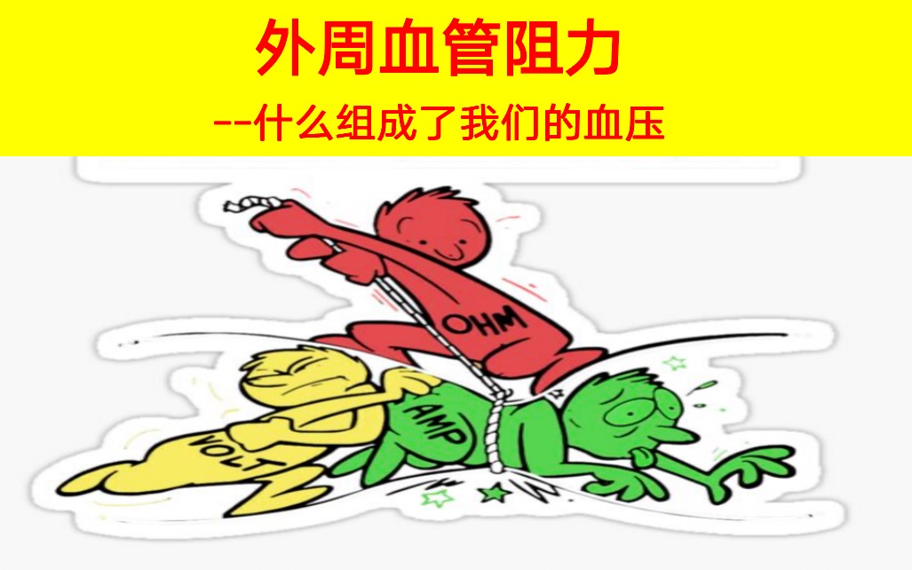 血流动力学基础1、外周血管阻力