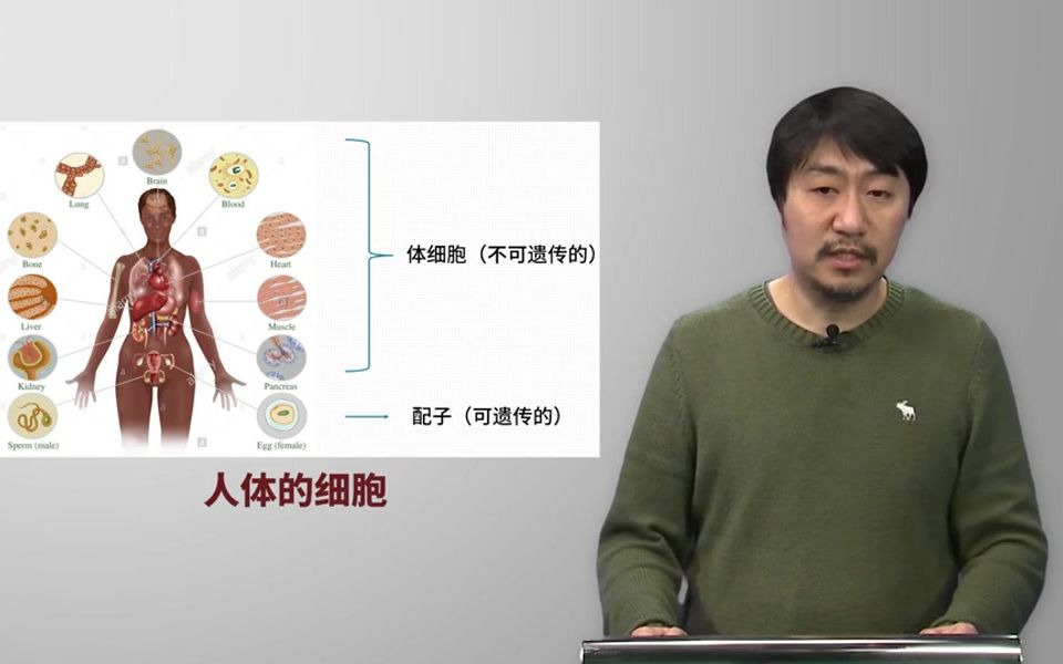 基因编辑技术的发展与应用