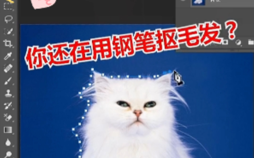 【PS教程6】拜托三连了! 8天学会PS设计软件,抠毛发,钢笔工具,软件...