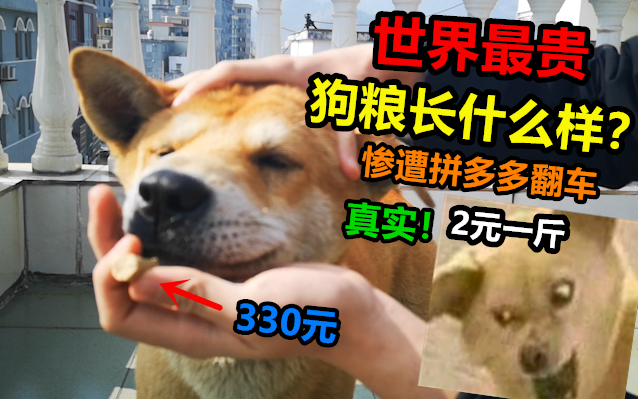 全世界最贵的狗粮你吃过吗?330元一斤却惨遭拼多多2元狗粮完虐,真实!