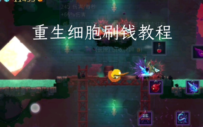 刷钱教程?!啊?!_死亡细胞_技巧
