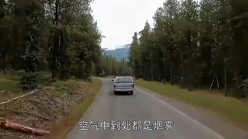 一场森林火灾,进山捕猎麋鹿