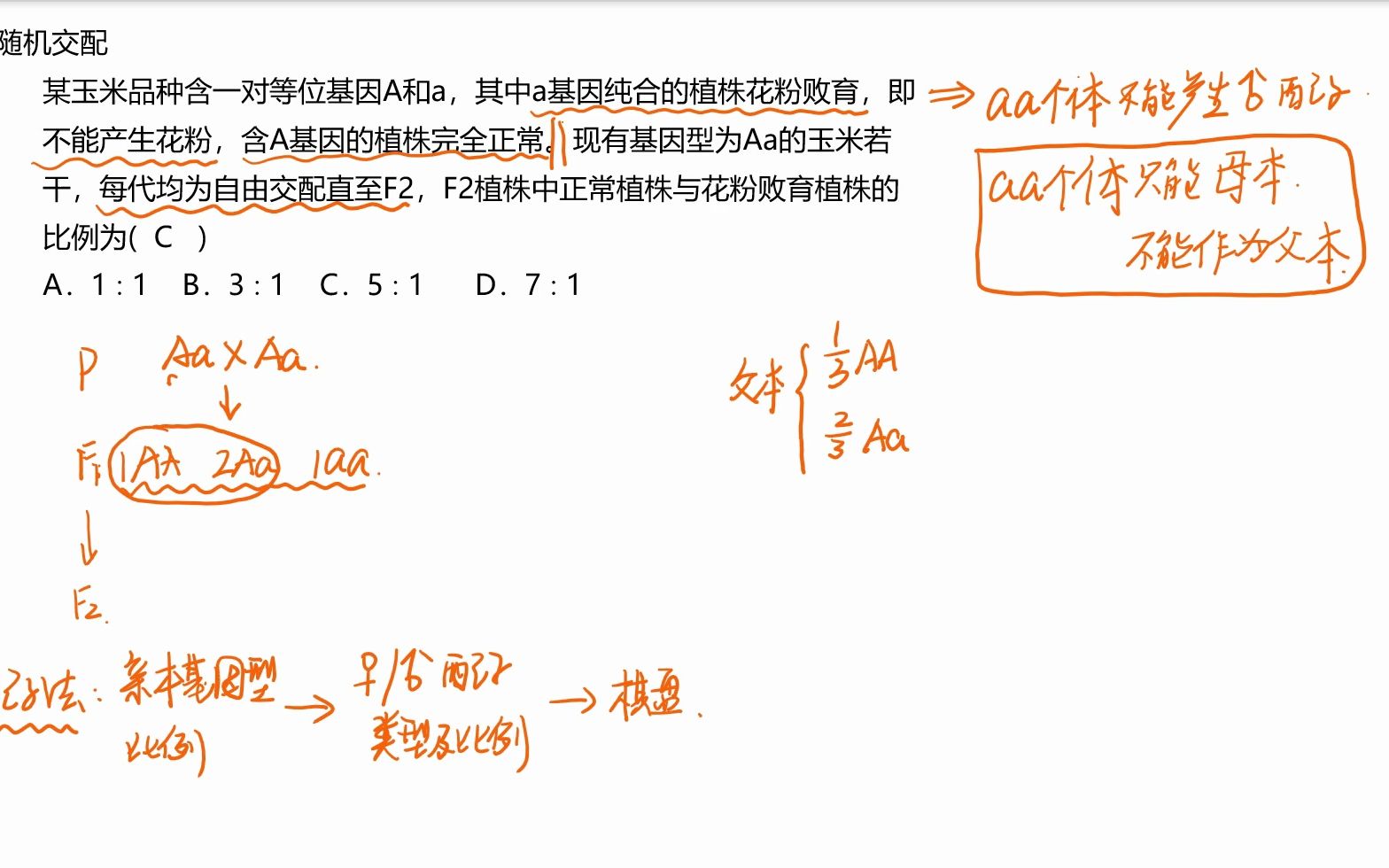 分离定律中的随机交配问题