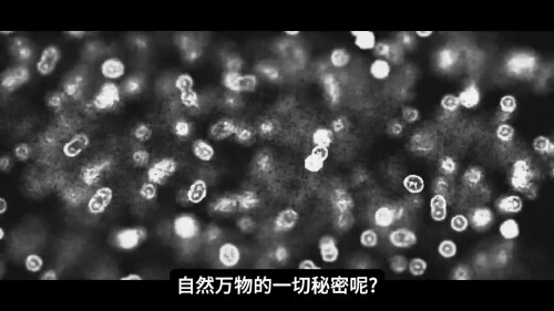 量子计算的原理与应用:探索其潜在的变革力量