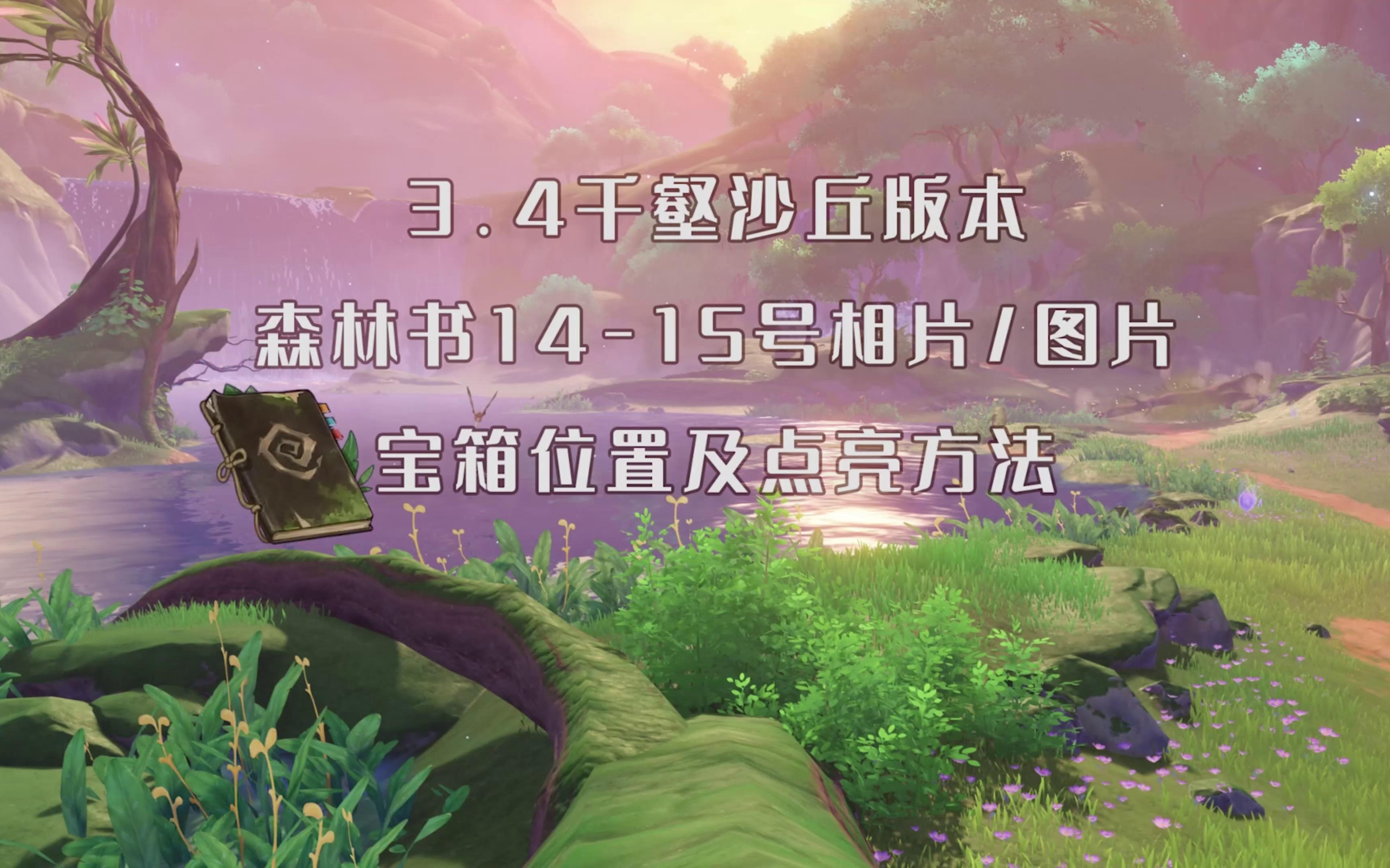 森林书最后一步/剪贴簿14-15号贴纸照片点亮攻略/2隐藏挖掘宝箱
