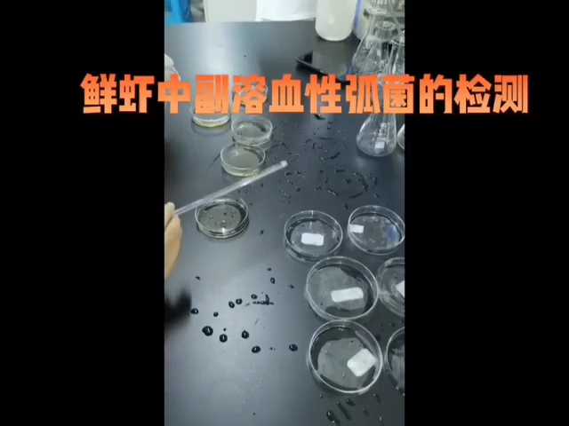 鲜虾中副溶血性弧菌检测