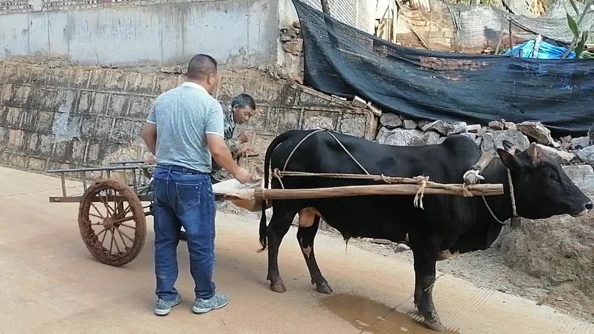 环境卫生整治,操碎了所有农村工作人员的心。