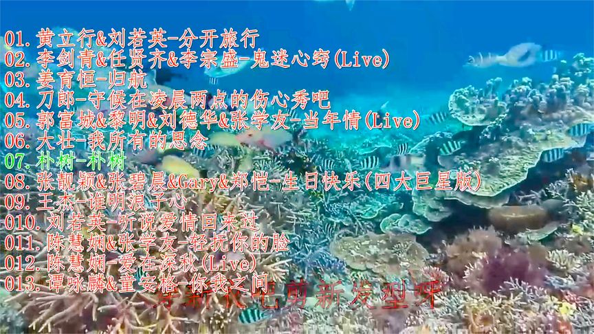 【经典老歌连播】怀旧金曲,值得收藏。
