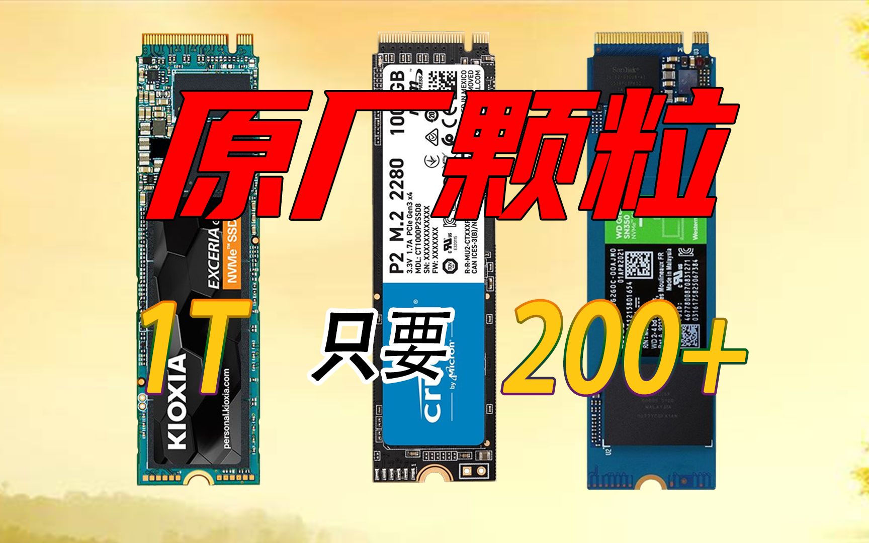 杂牌不敢用?史上最便宜原厂颗粒固态硬盘推荐!
