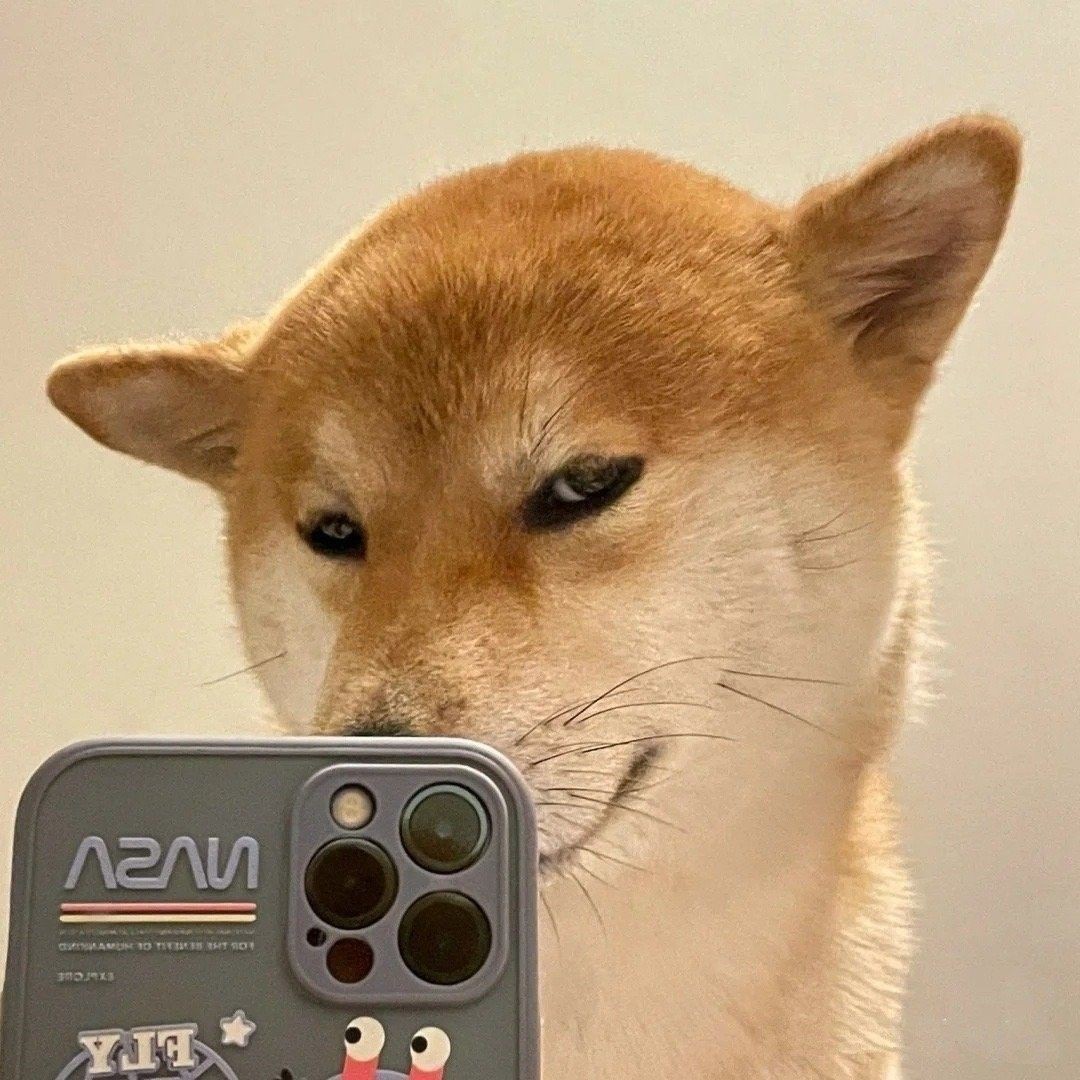 Sephi色皮 