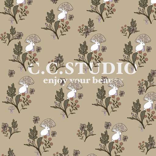 CCSTUDIO享受美好 