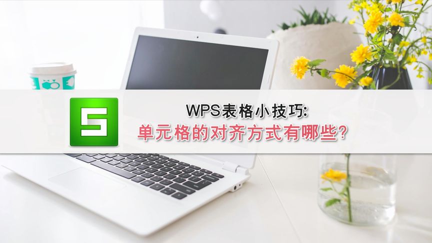 WPS表格小技巧:单元格的对齐方式有哪些?