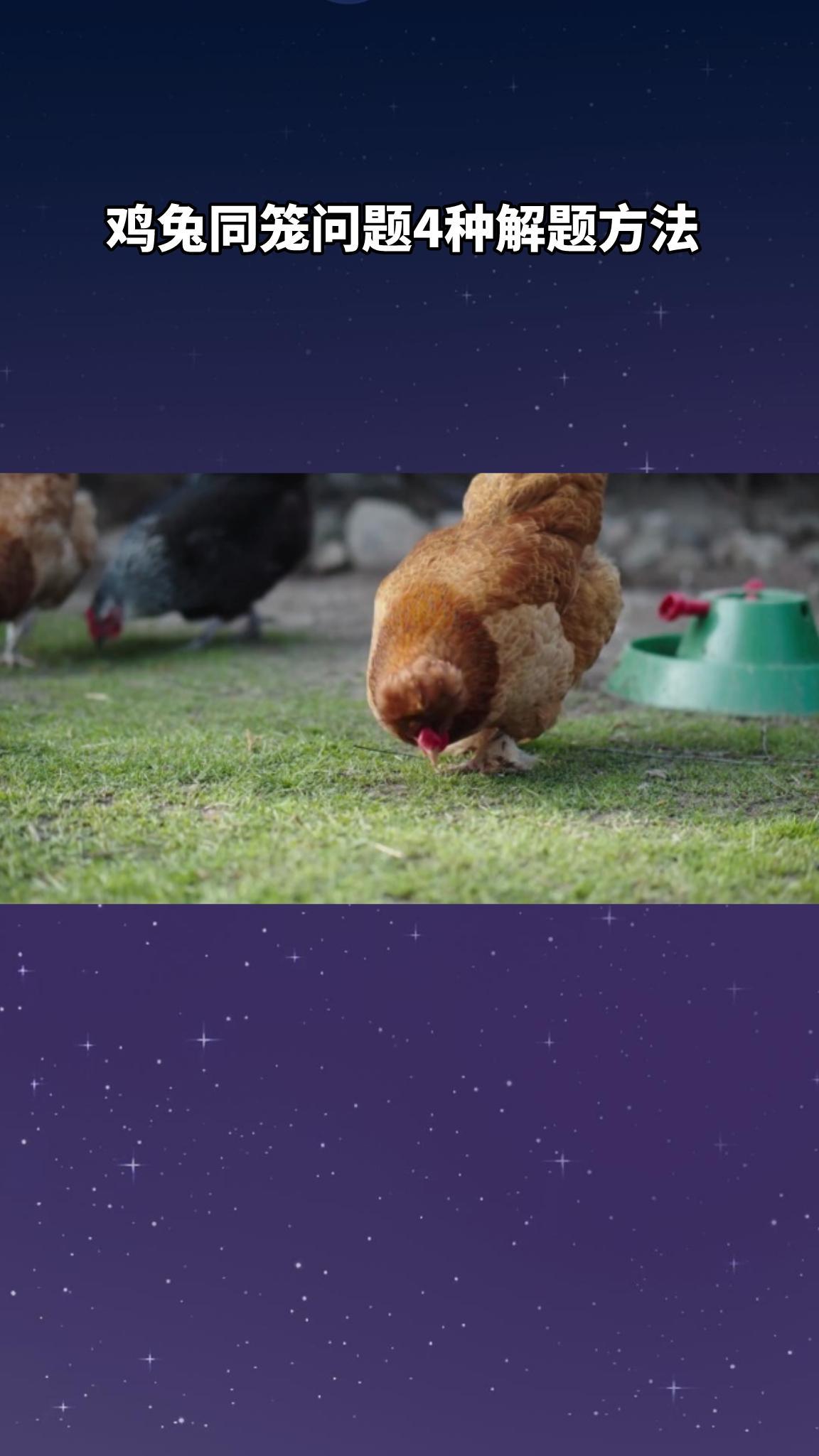 鸡兔同笼问题4种解题方法