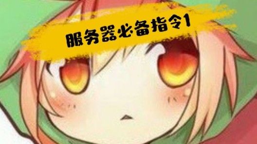服务器必备指令,看不后悔(滑稽)