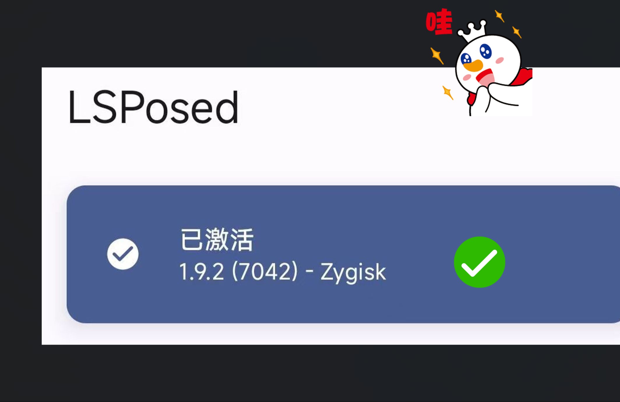 LSPosed教程视频!